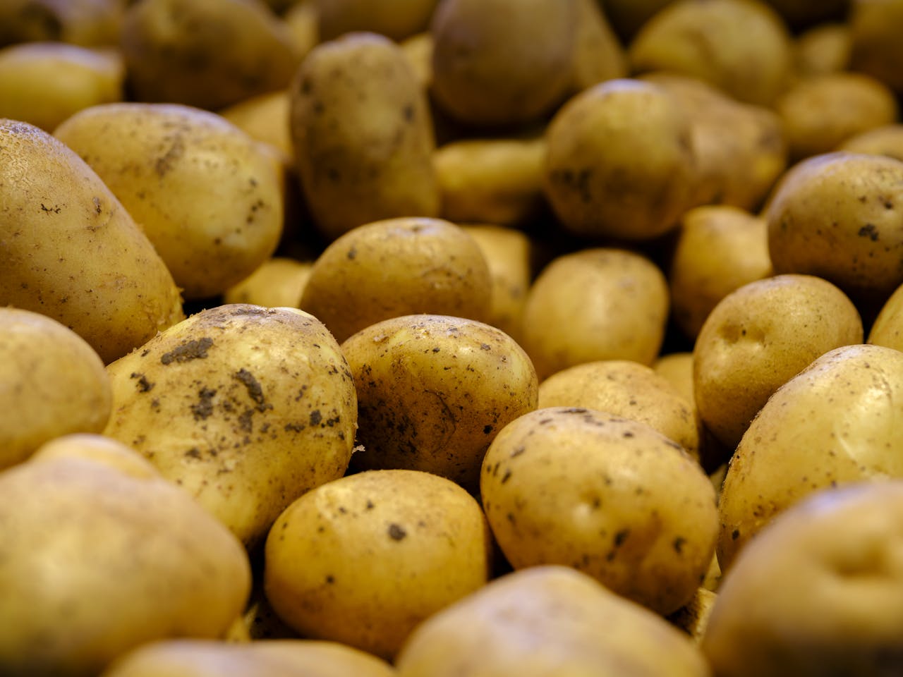 bulk potato supplier UAE - Potato Dubai